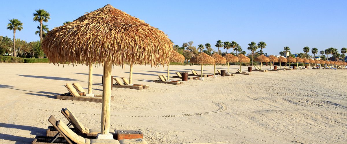 Palm Tree Island Qatar