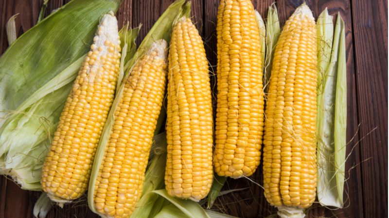 Food In Doha, Qatar: Which Are The Top Dishes To Try Here?