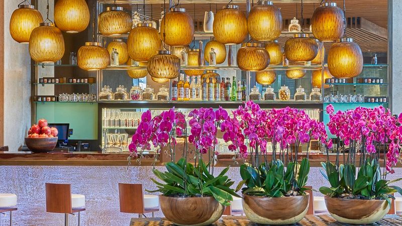 Novikov Qatar The Best Restaurant For An Authentic Asian Dining