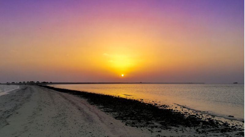 Fishing In Qatar: A Guide For Best Fishing Experience In The Country