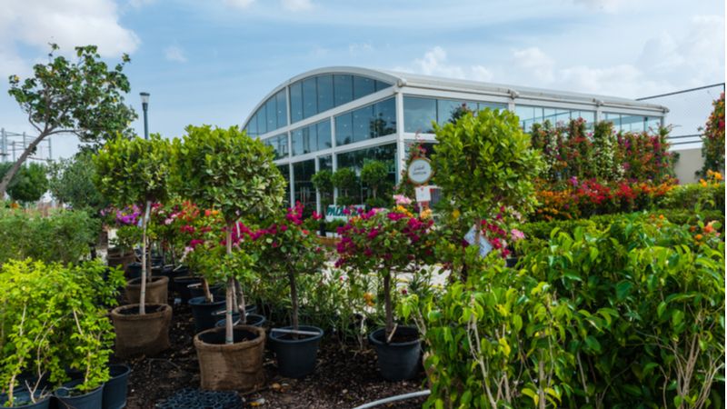 Baladna Farm Qatar: About The Country’s Leading Dairy Producer