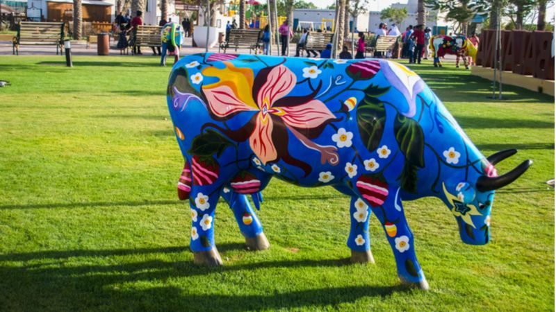 Baladna Farm Qatar: About The Country’s Leading Dairy Producer