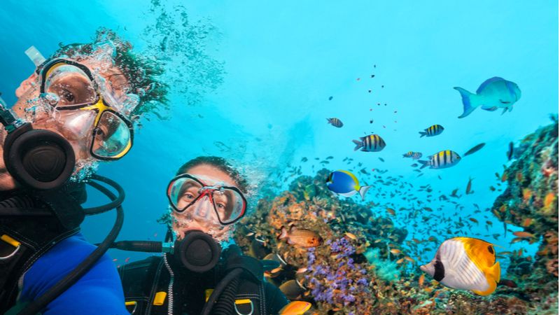 Scuba Diving In Qatar: Experience Qatar’s Unique Marine Life