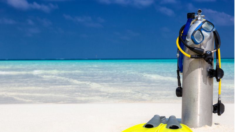 Scuba Diving In Qatar: Experience Qatar’s Unique Marine Life