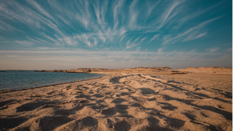 Top 5 Attractions To Visit Near Qatar Zekreet Peninsula