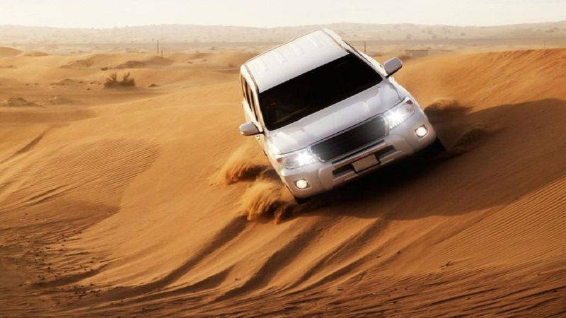 Safari in UAE To Get Your Desert Adventure Ready