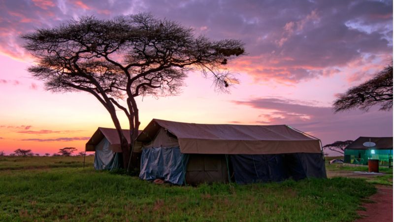 Safari in UAE To Get Your Desert Adventure Ready