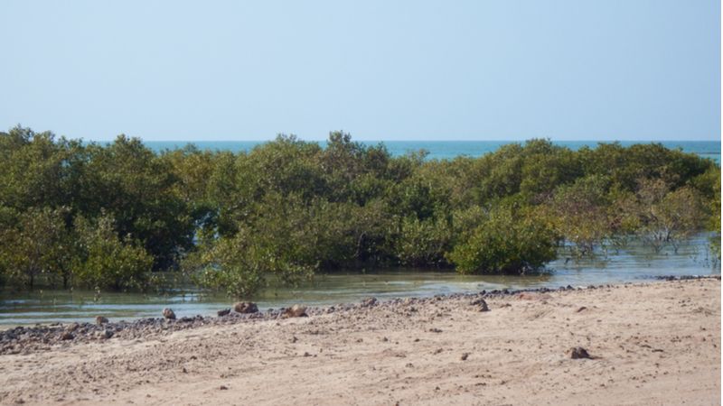 Islands In Abu Dhabi For Peace And Tranquility