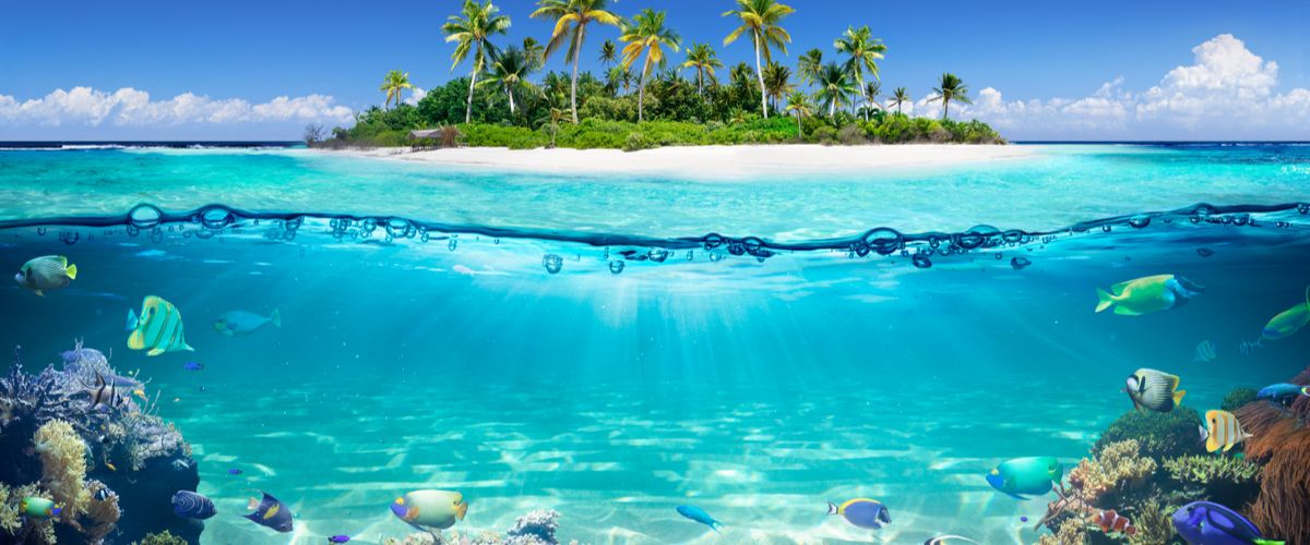 Islands In Seychelles Every Nature Lover Should Know About