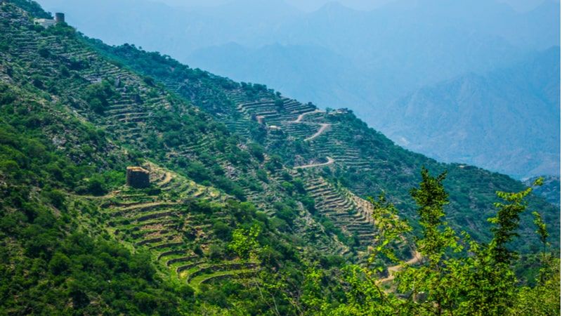 Places to Visit in Abha: A Magical City in the Heart of Saudi Arabia