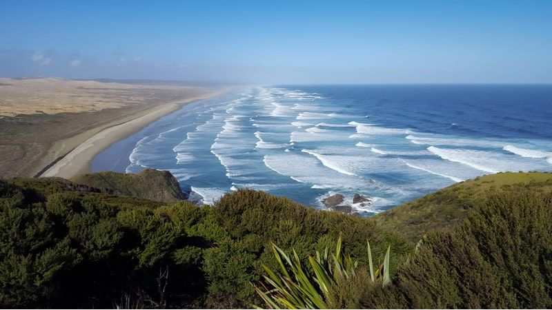 Explore 10 Mesmerizing Beaches in New Zealand For Delightful Vacation