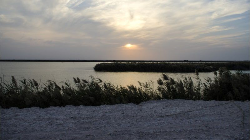Al Rayyan Qatar Guide: Explore the Third Largest Municipality of Qatar