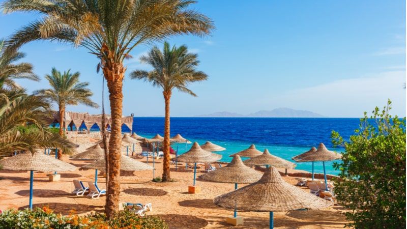 Top 8 Beaches in Alexandria: Basking In The Balmy Beauty of The Coast