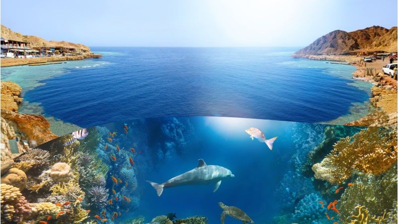 Places to visit in Dahab: A Stunning Excursion in Egyptian Style