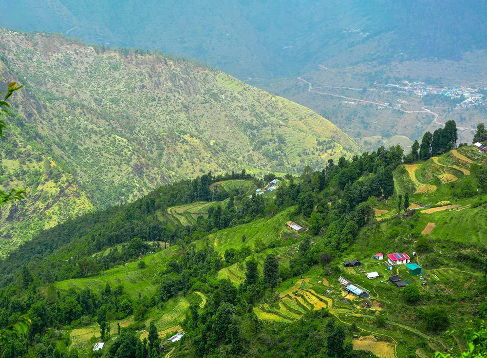 Beautiful Dhanaulti New Year Tour Package for 3 Days 2 Nights ...