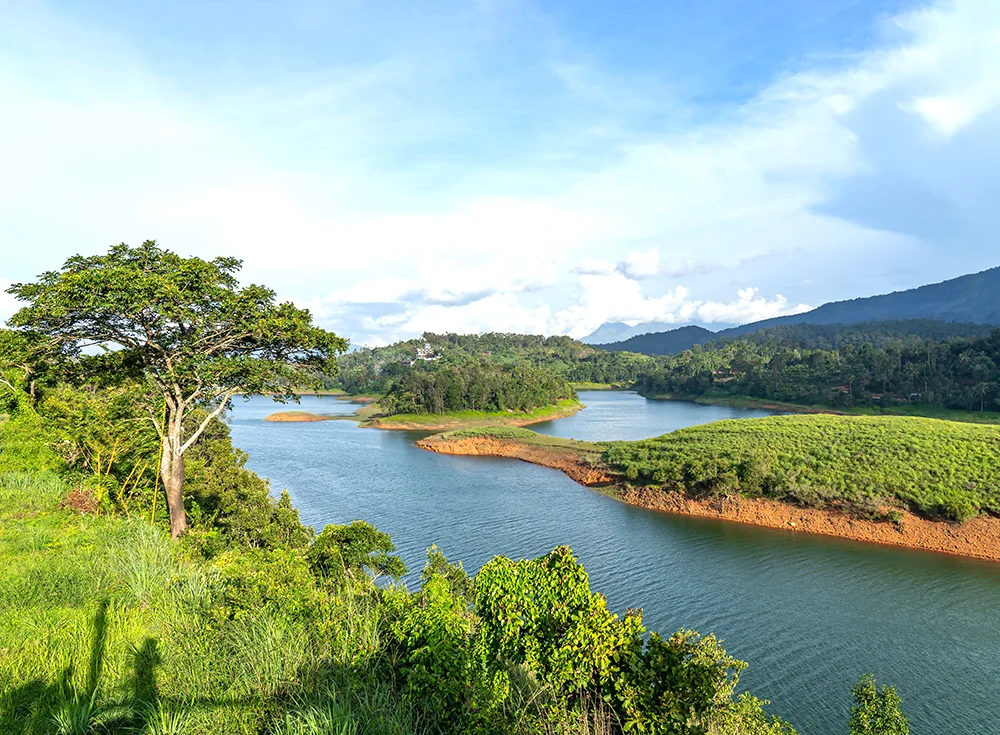 5 Nights 6 Days Coorg and Wayanad Budget Tour Package - Myholidays.com