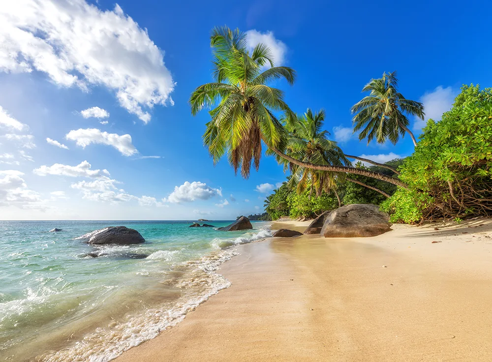 3 Nights 4 Days Amazing Goa New Year Tour Package - Myholidays.com