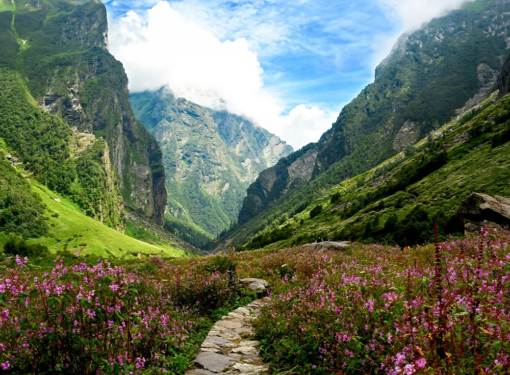 6 Nights 7 Days Valley of Flowers Tour Package with Govindghat and ...