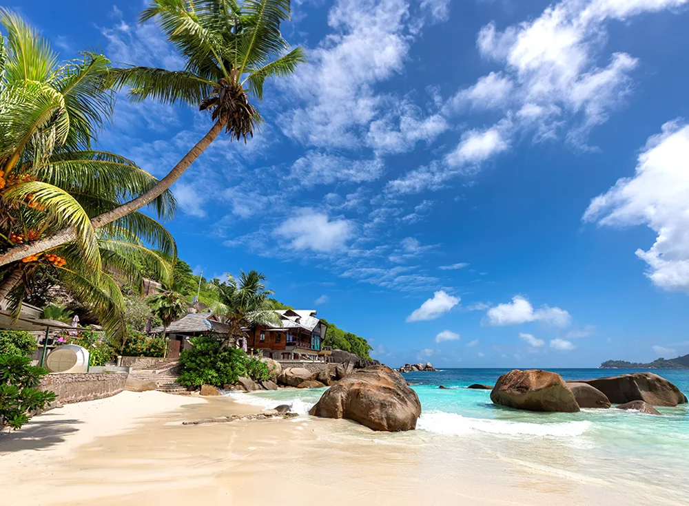 Simply North Goa 3 Nights 4 Days New Year Tour Package - Myholidays.com