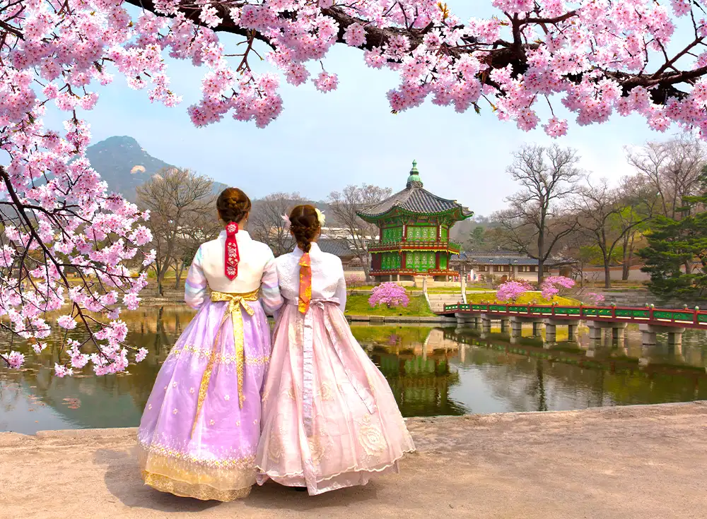 Simply Seoul 4 Nights 5 Days Couple Tour Package - Myholidays.com