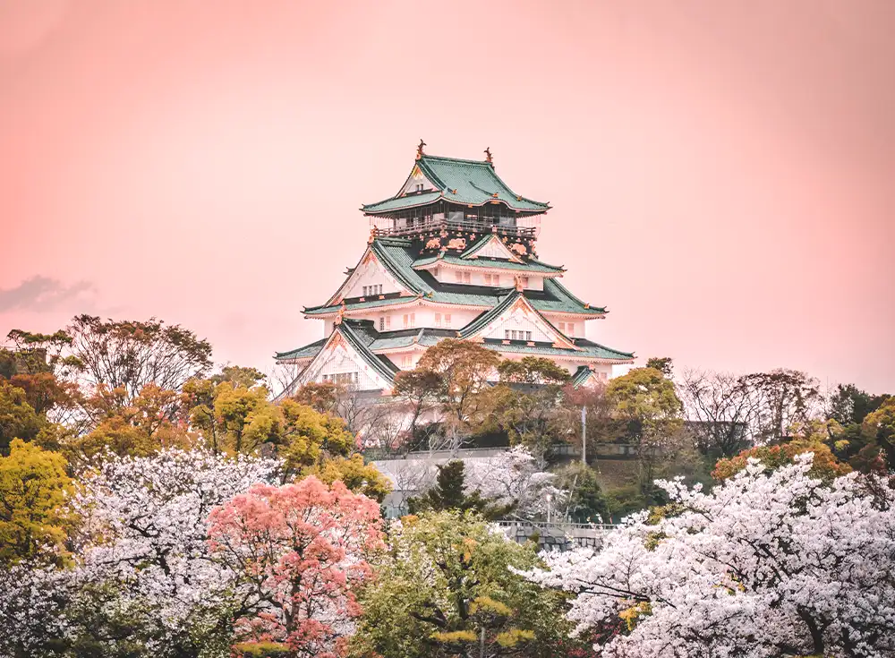 8 Days 7 Nights Tokyo and Osaka New Year Tour Package - Myholidays.com