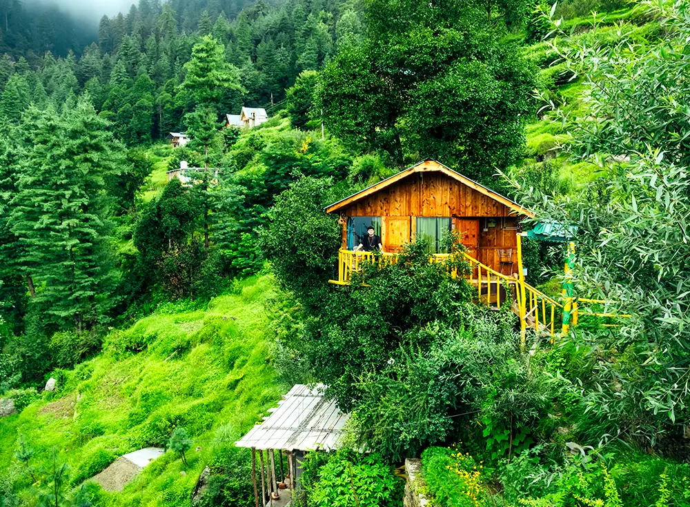 Tirthan Valley 4 Nights 5 Days Jibhi Tour Package - Myholidays.com
