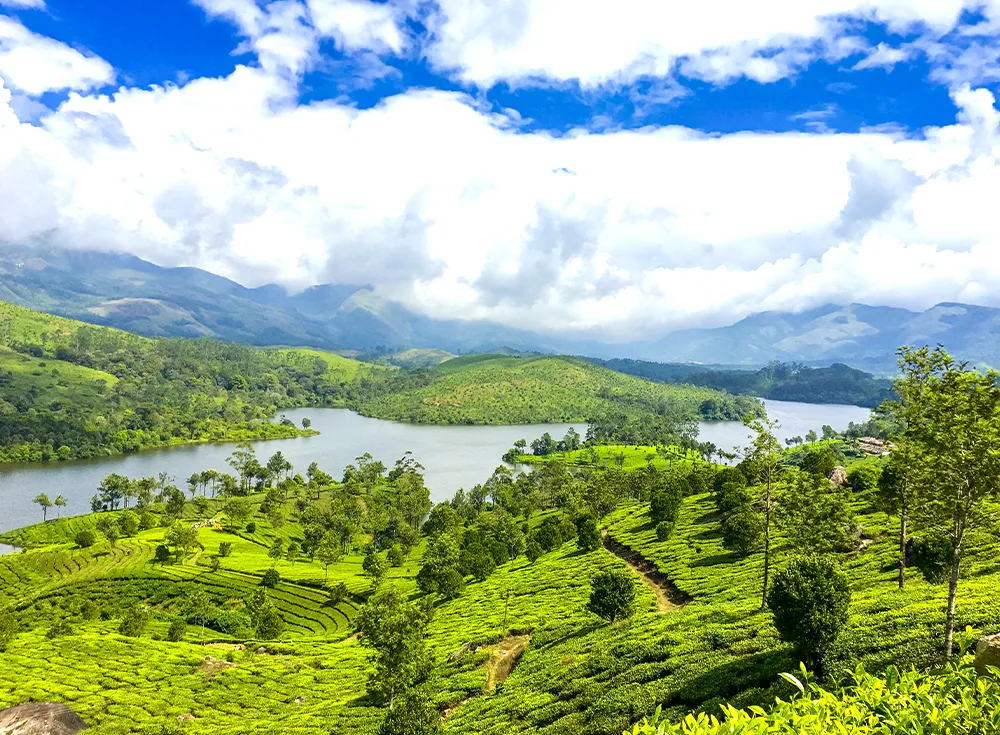 Glorious Kerala 6 Nights 7 Days Hill Stations Tour Package - Myholidays.com