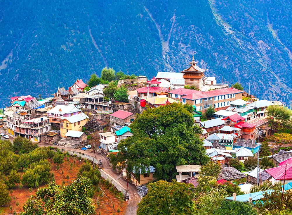 Shimla Manali and Kalpa Tour Package for 9 Days 8 Nights - Myholidays.com
