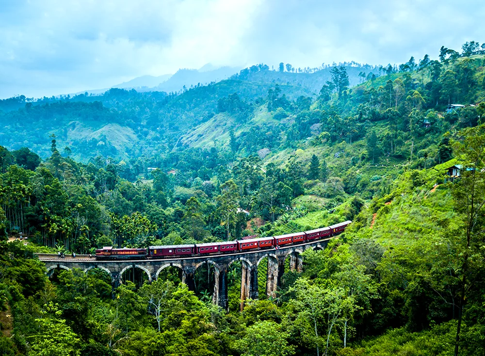 7 Nights 8 Days Historical Sri Lanka Group Tour Package - Myholidays.com