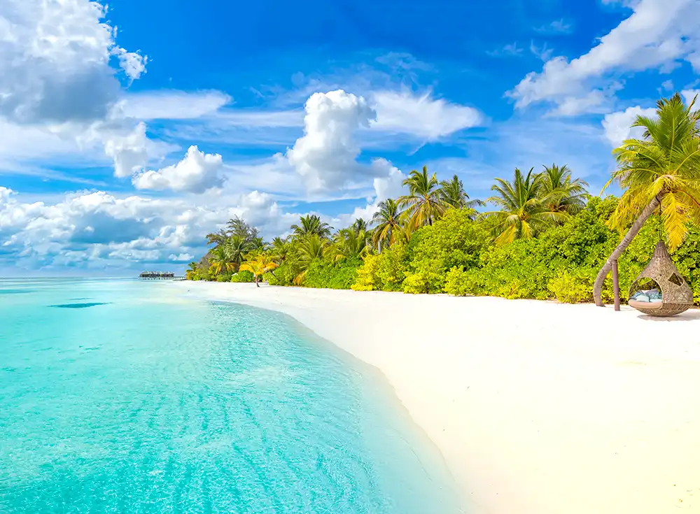 8 Days 7 Nights Fiji Tour Package - Myholidays.com