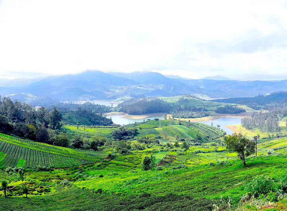 3 Nights 4 Days Hotel Preethi Classic Towers Ooty Tour Package - Myholidays.com