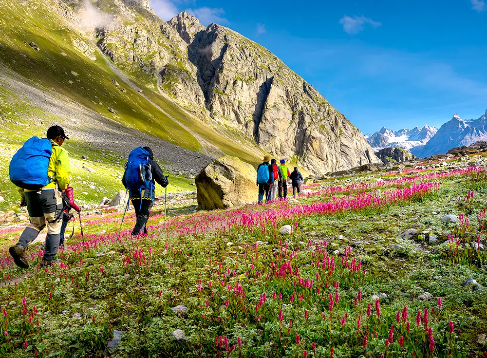 Manali Tour Package For 4 Days 3 Nights - Myholidays.com