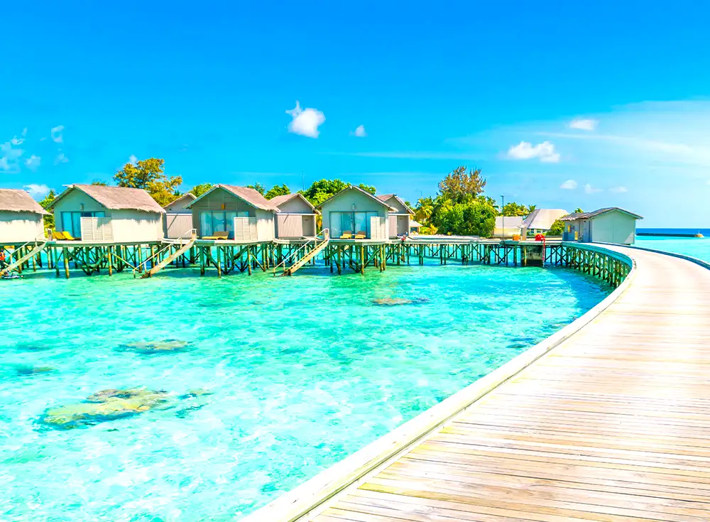 Unforgettable 5 Days 4 Nights Male Honeymoon Package - Myholidays.com