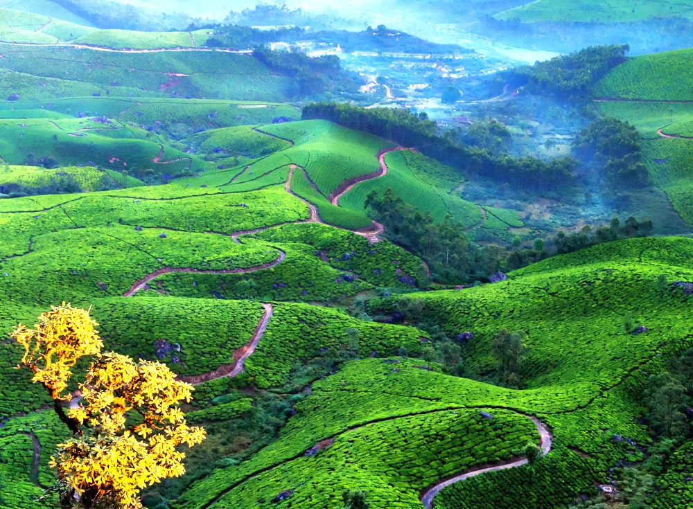Magical Munnar and Thekkady 3 Nights 4 Days Family Tour Package ...