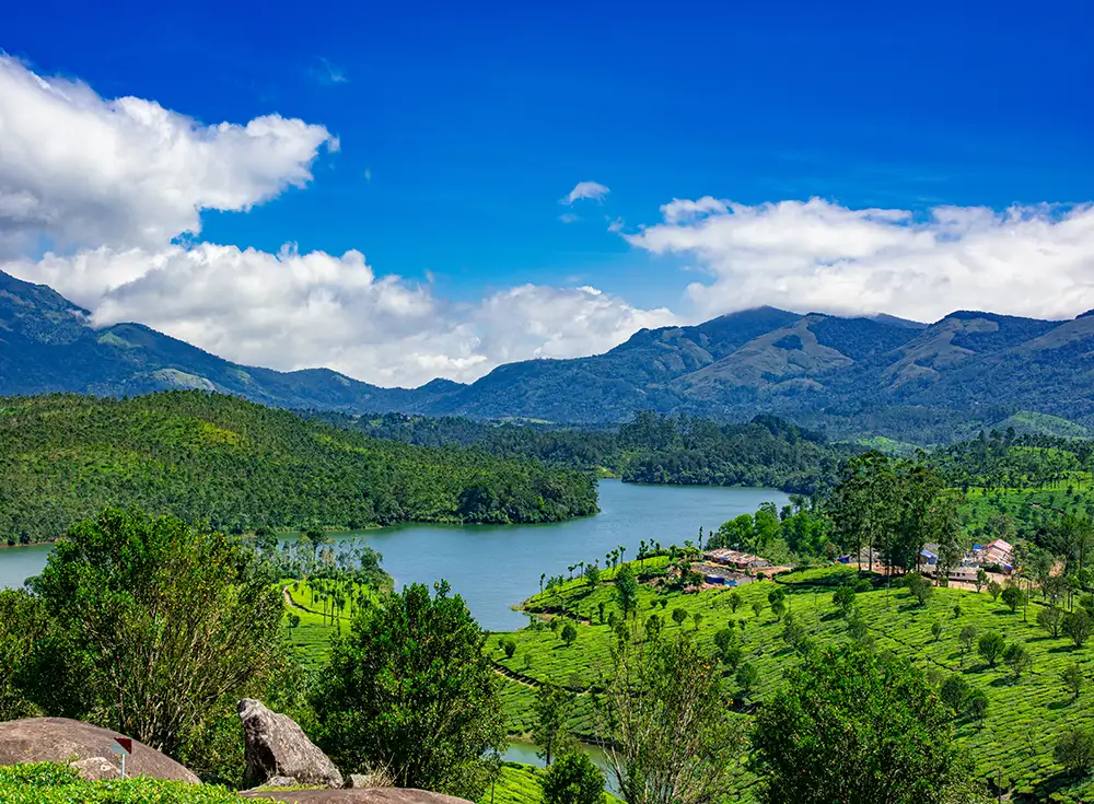 3 Nights 4 Days Munnar Tour Package - Myholidays.com